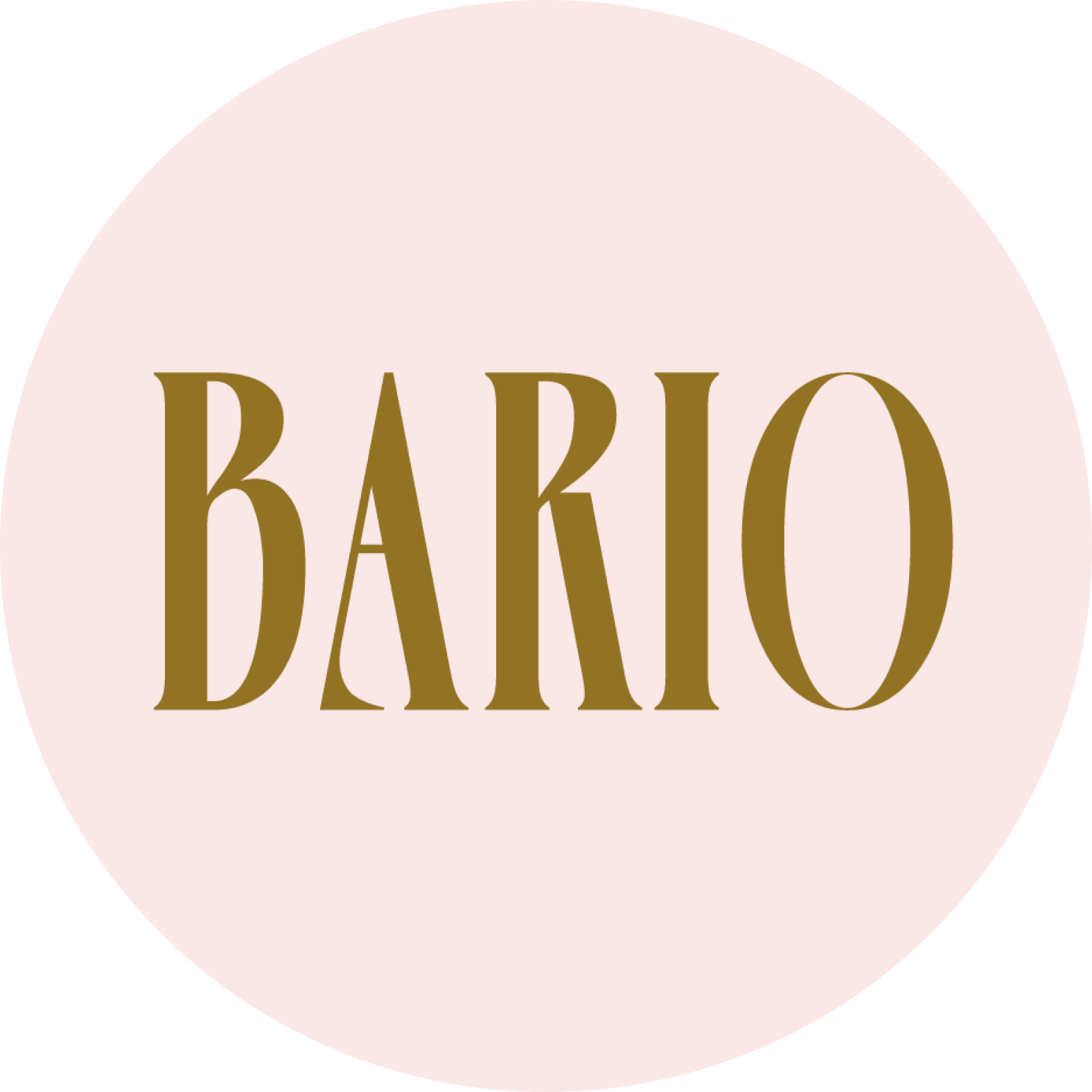 Bario - Exclusive Travel Experiences